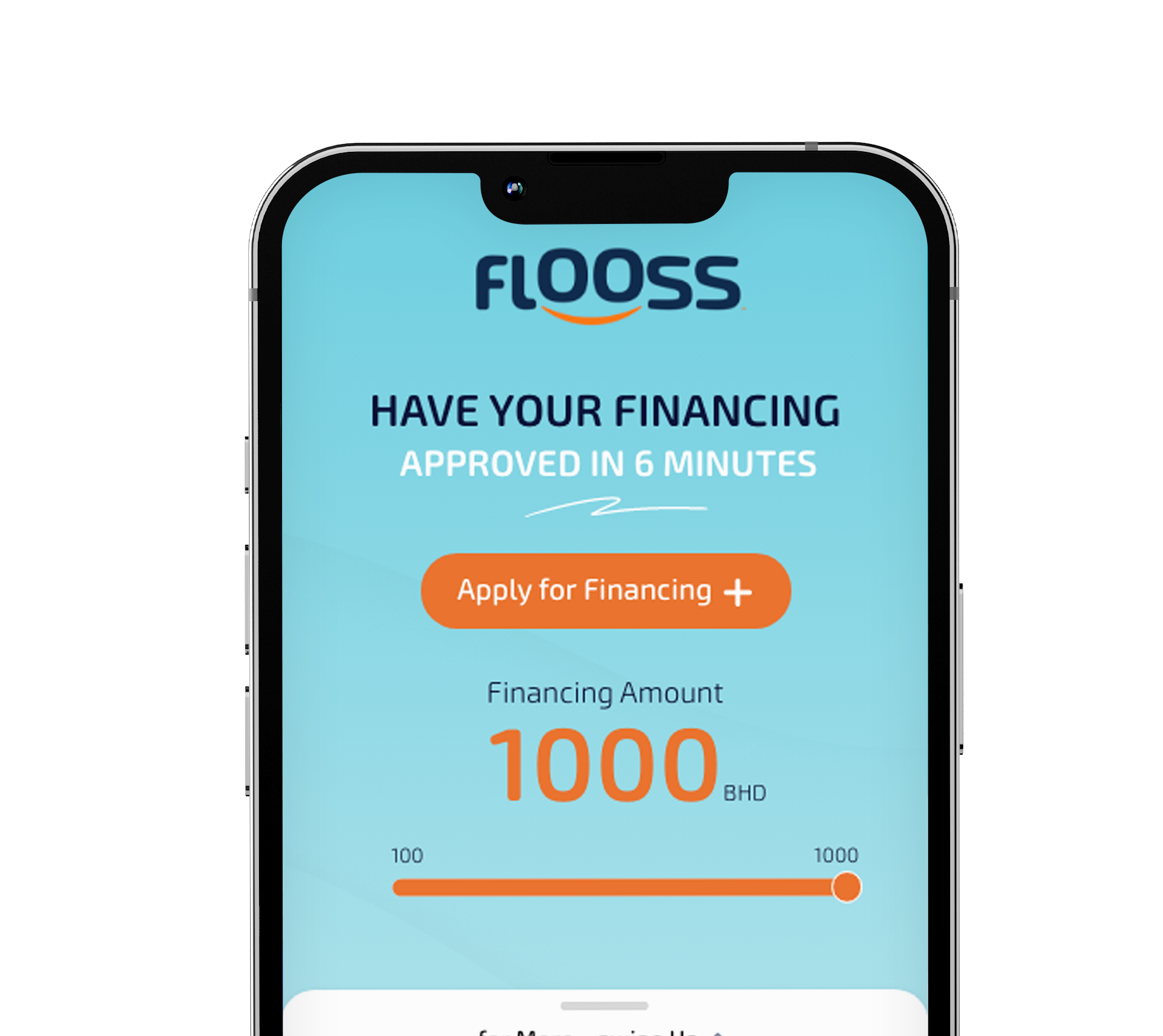Instant Financing - FLOOSS